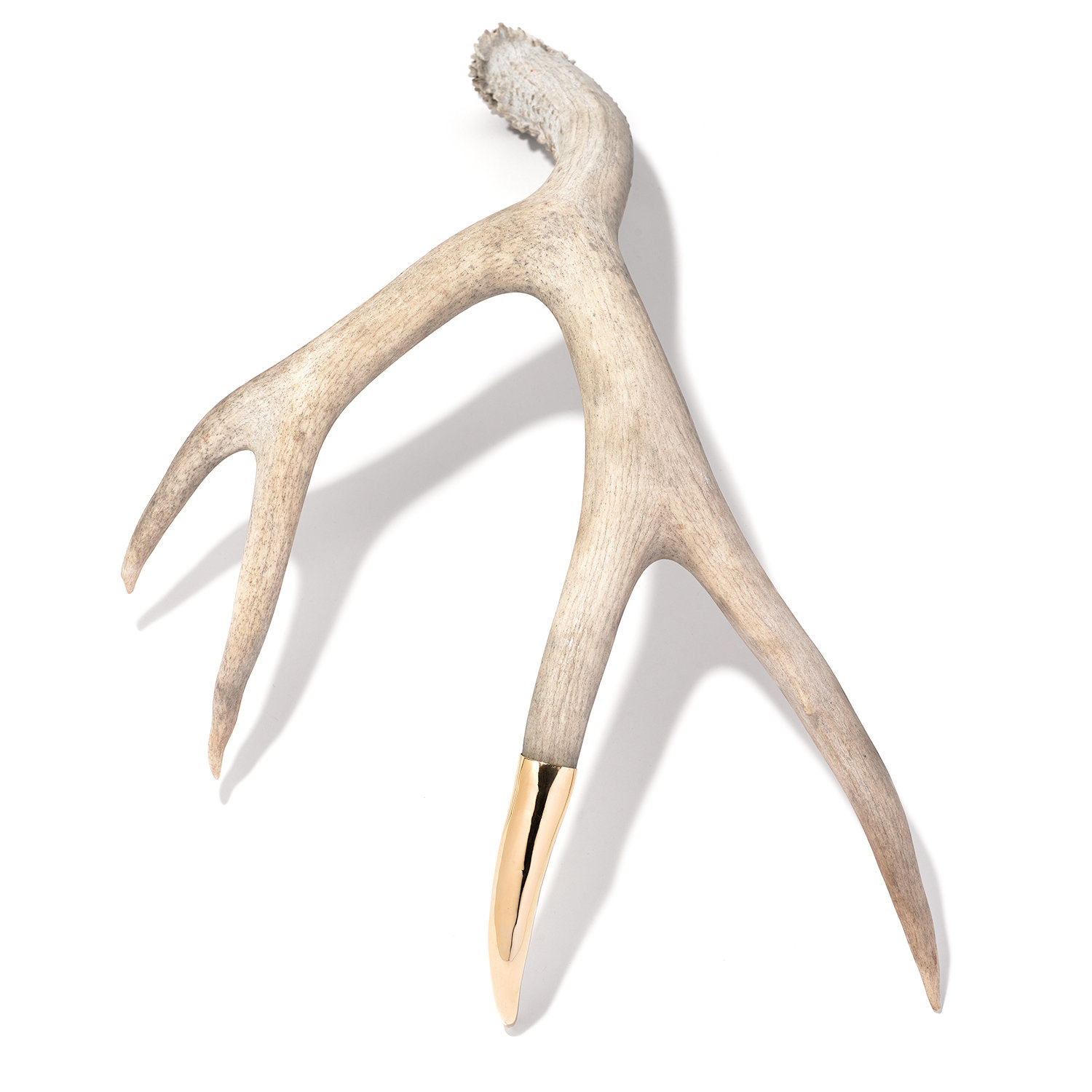 Whisper Editions » WHISPER » 10K Gold Dipped Weathered Antler